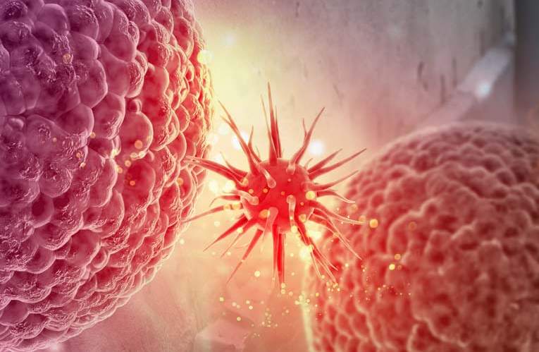 Avian Leucosis - Biosécurité aviaire